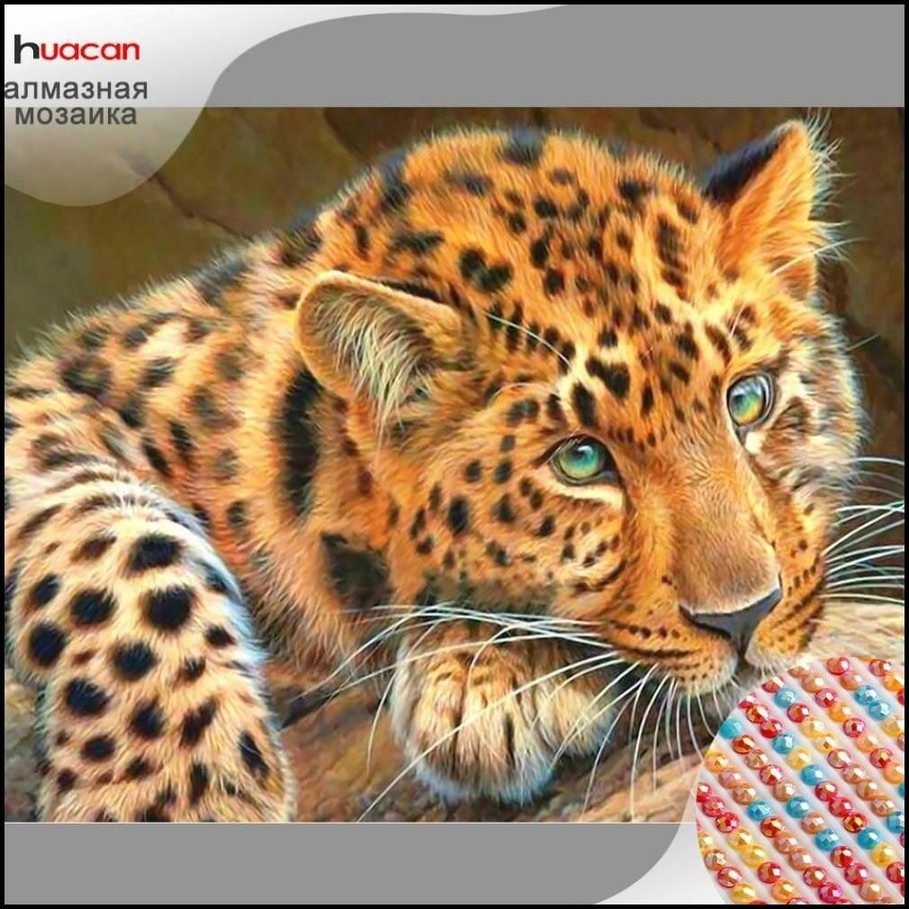 Алмазная живопись 30x40 без подрамника круговой стразы мозаика "животные леопард"АБ бриллианты"