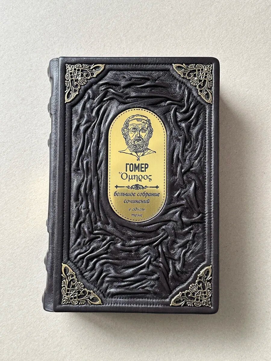 Илиада. Одиссея. Гомер (подарочная кожаная книга)