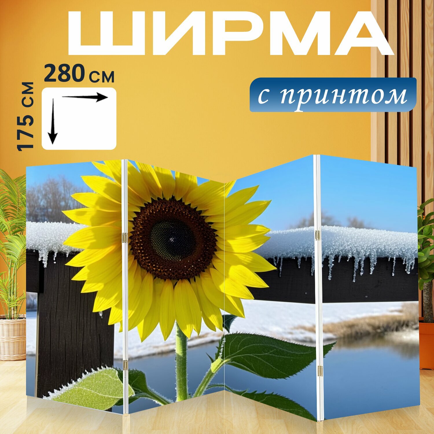 Ширма "Солнечник в зимнем окружении, цветок с золотистыми лепестками и темной серединкой, растущий рядом с." перегородка для зонирования комнаты с принтом 280x175 см. на холсте
