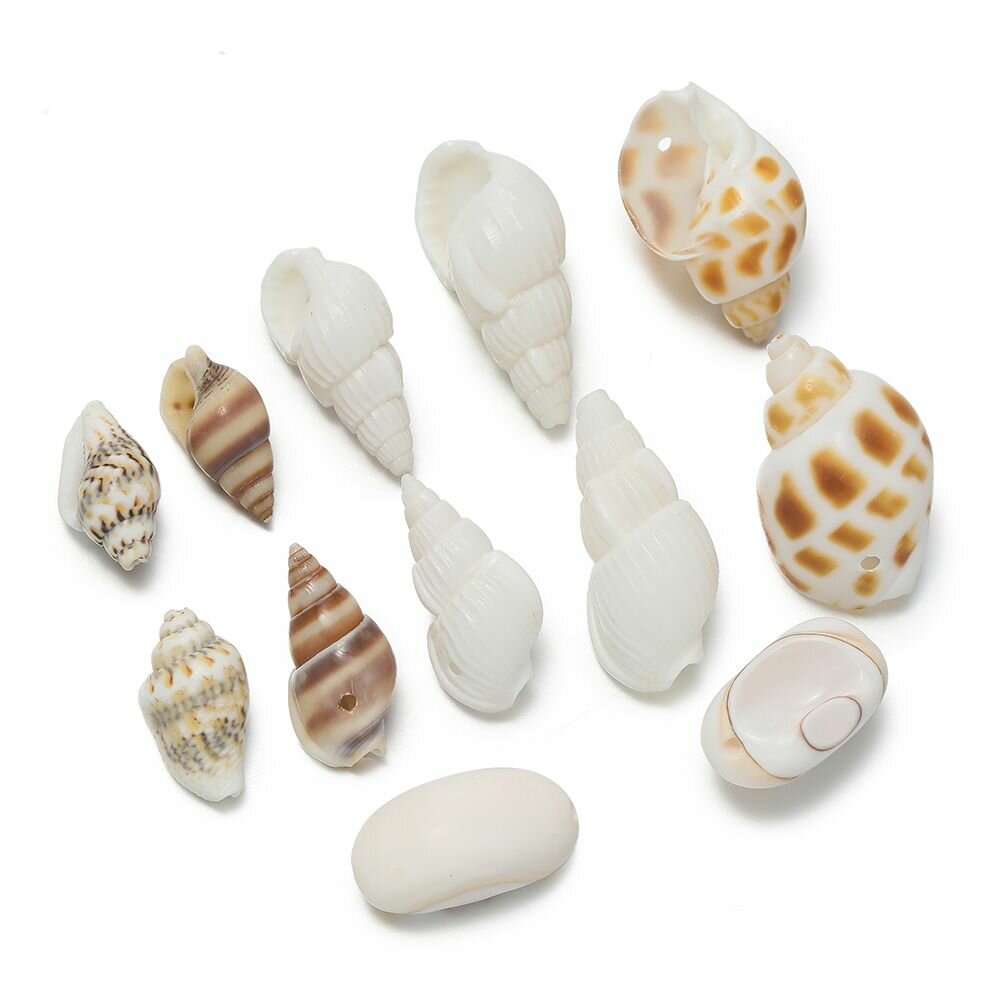 Бусины из морских ракушек Каури с одно отверстие 10 штук, стиль 01