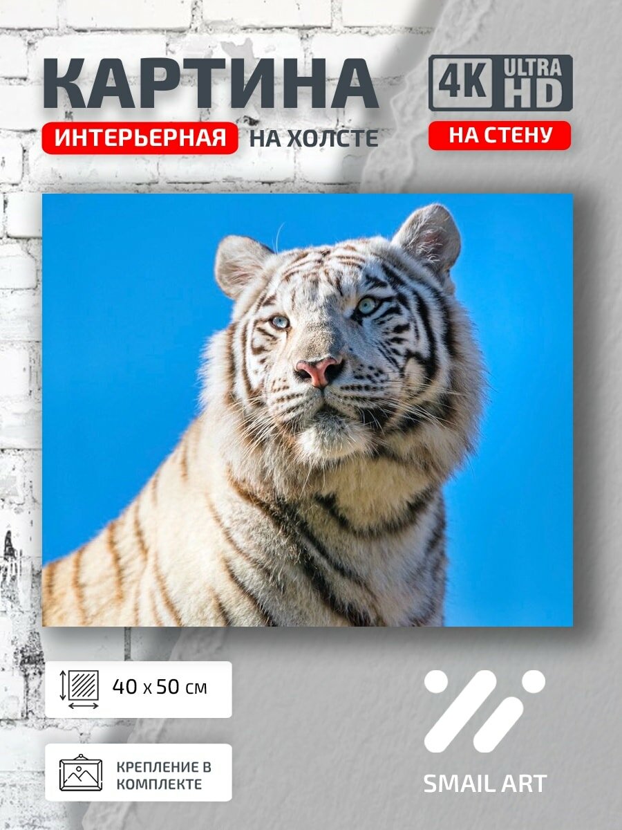 Картина на холсте интерьерная 40 на 50 на стену белый тигр для студии атмосфера