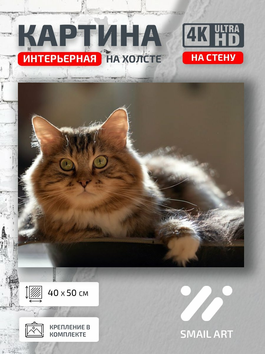 Картина на холсте интерьерная 40 на 50 на стену Шерсть Animal для спальни animal style
