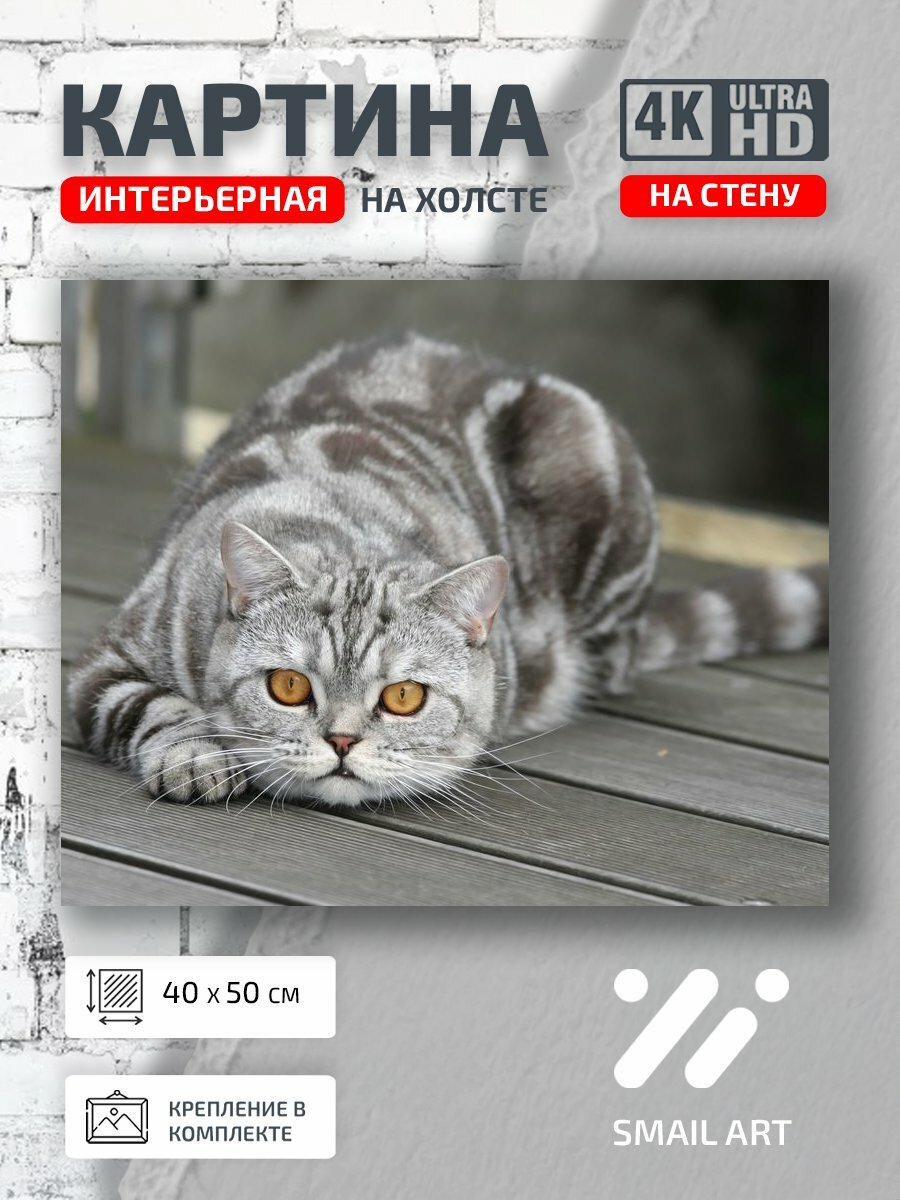 Картина на холсте интерьерная 40 на 50 на стену Серый Animal для детской animal style декор