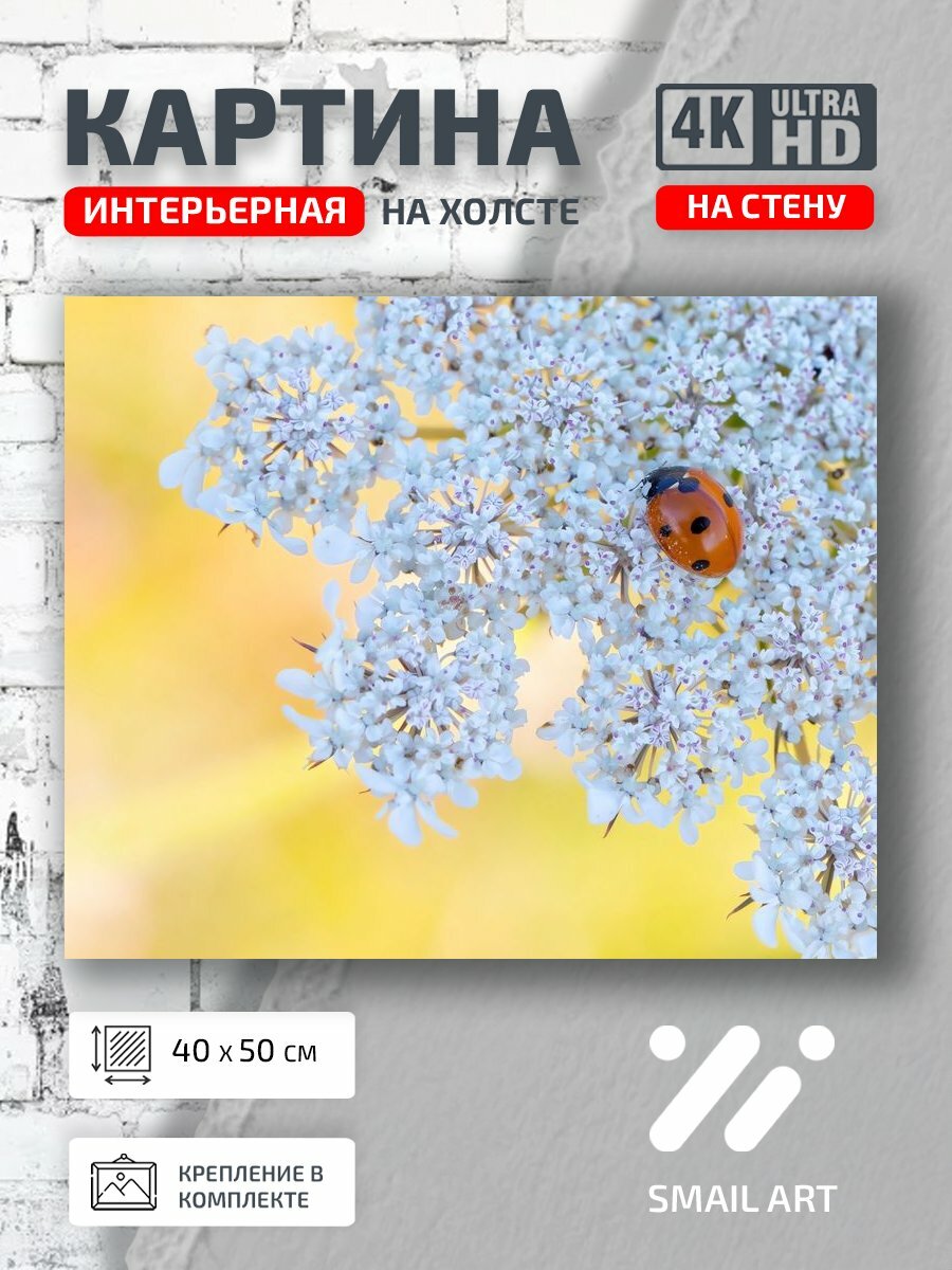 Картина на холсте интерьерная 40 на 50 на стену Белый Mood для спальни атмосфера интерьер