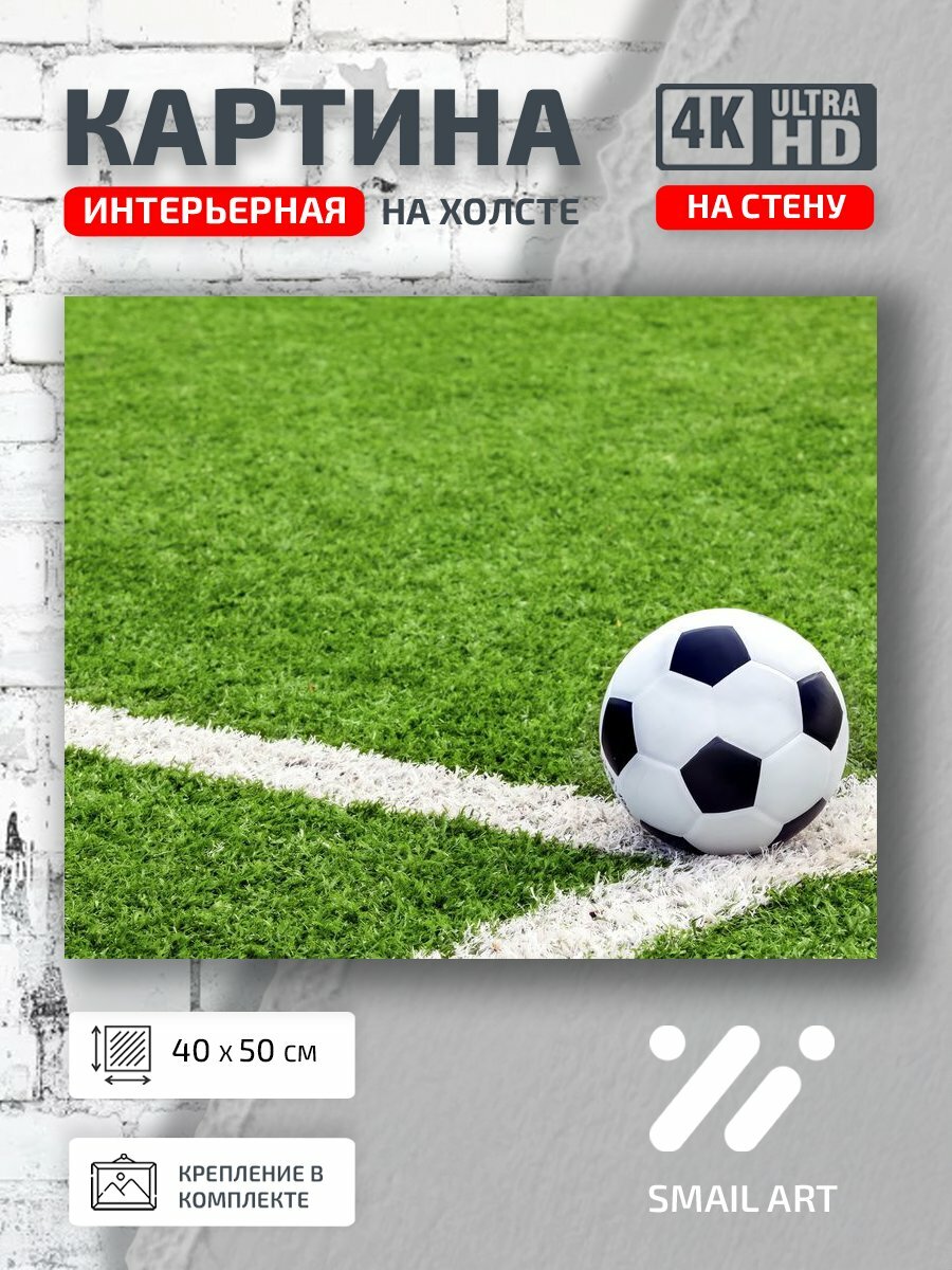Картина на холсте интерьерная 40 на 50 на стену Поле Landscape для гостиной пейзаж интерьер
