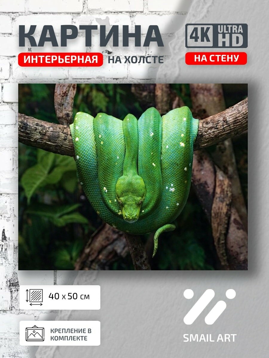Картина на холсте интерьерная 40 на 50 на стену Зеленая змея для студии атмосфера