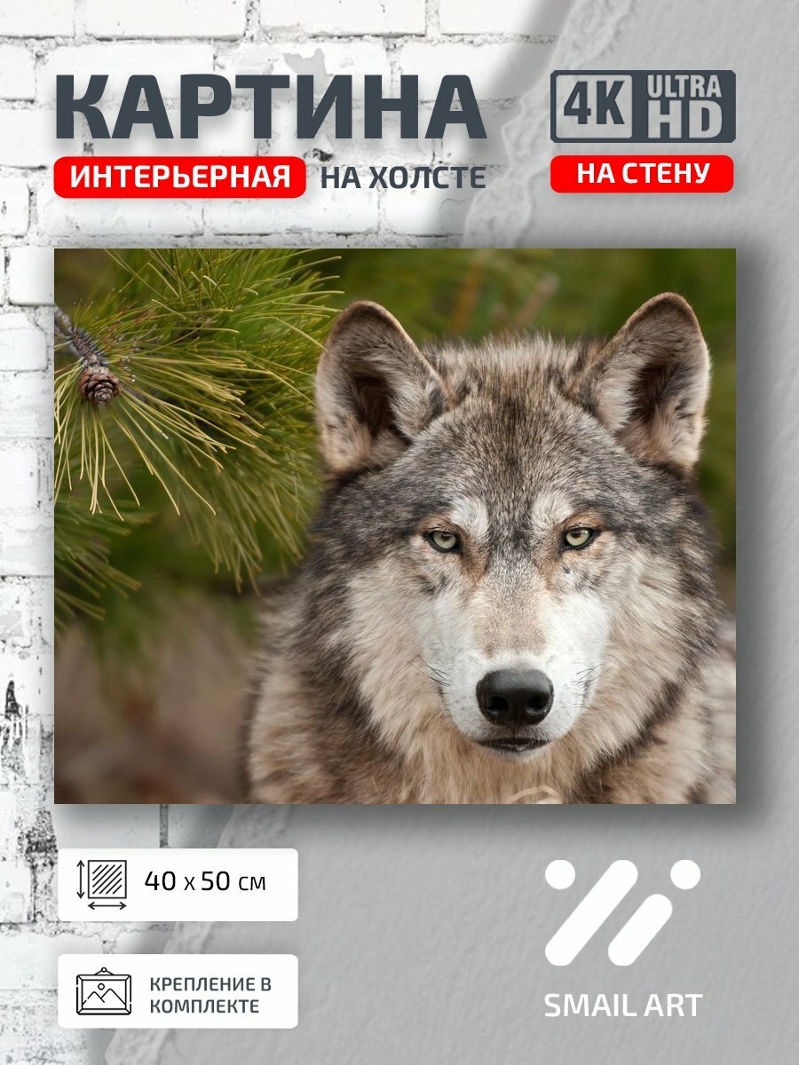 Картина на холсте интерьерная 40 на 50 на стену Сосны Animal для детской animal style декор