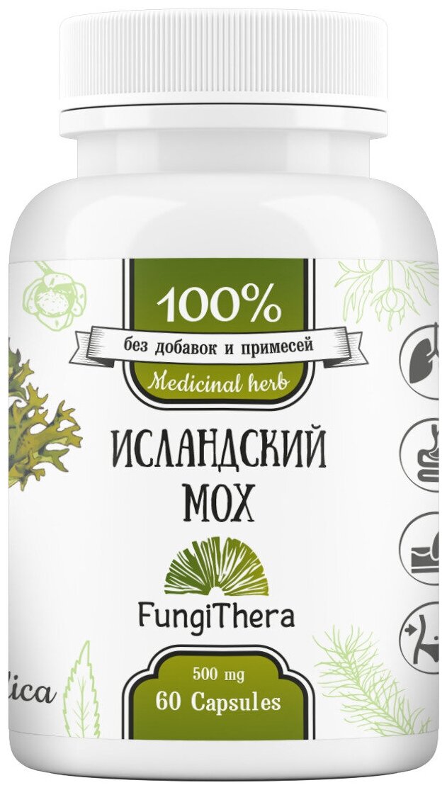 Исландский Мох /Экстракт/ 60 капсул 500 мг. Fungithera/ исландский мох в капсулах/ FungiThera