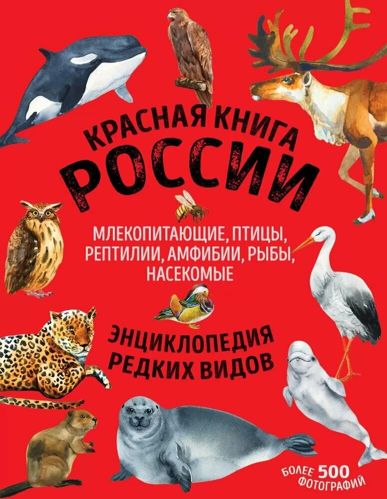 Красная книга России: все о жизни дикой природы (Лукашанец Д. А, Лукашанец Е. М.)