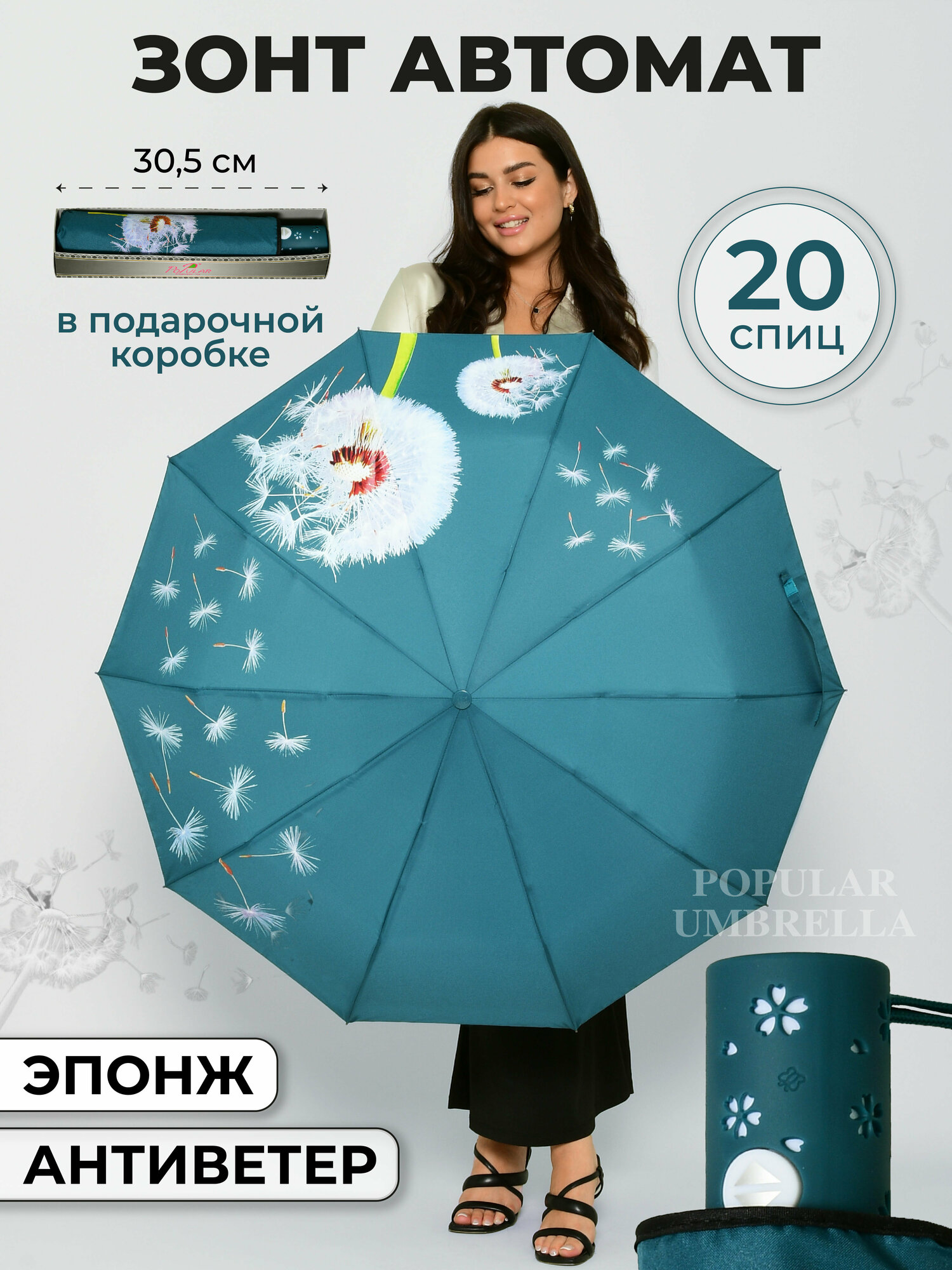 Зонты