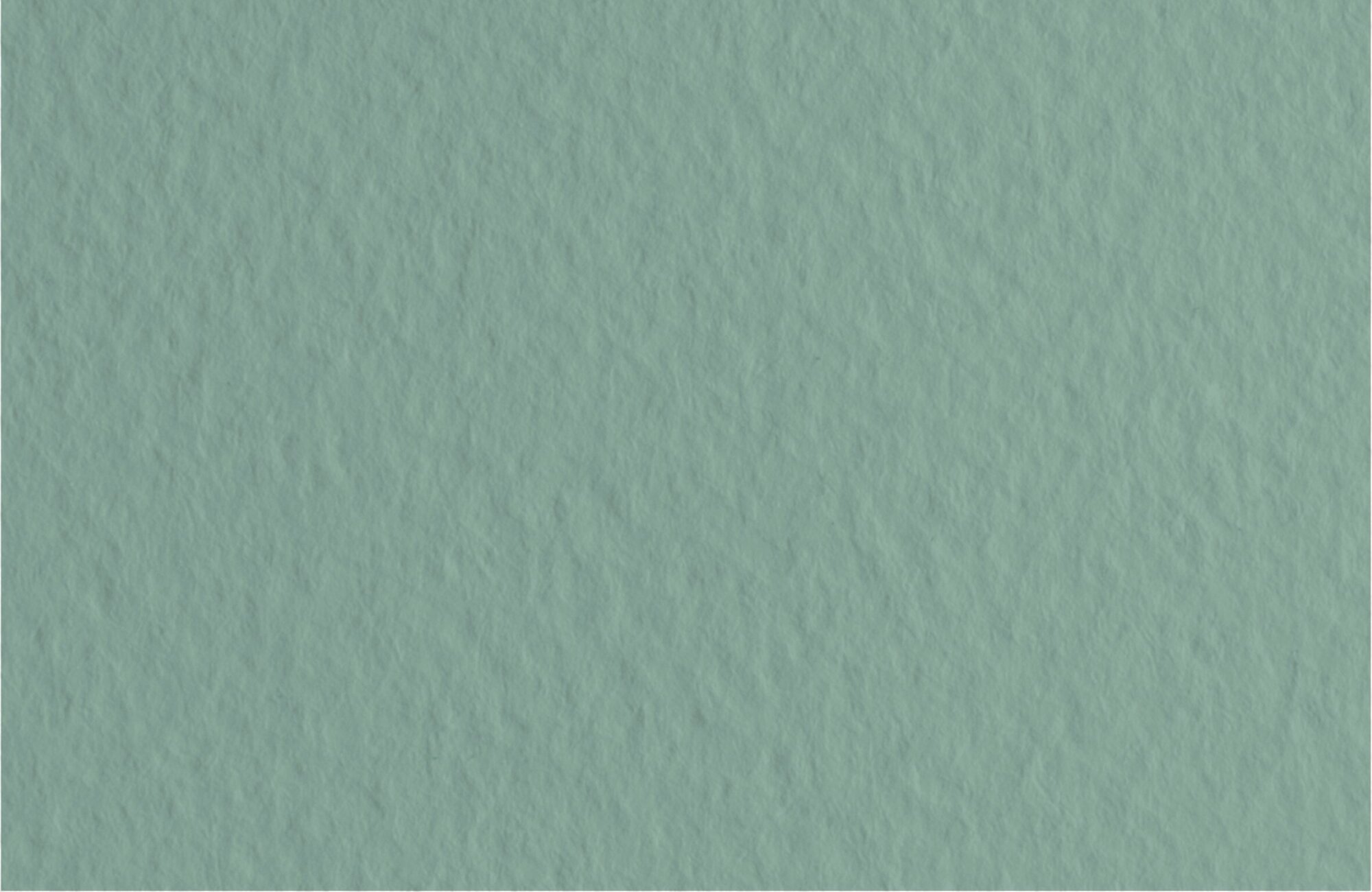 Бумага для пастели TIZIANO 160г/кв. м (А4) 210х297мм цв.№13 шалфей