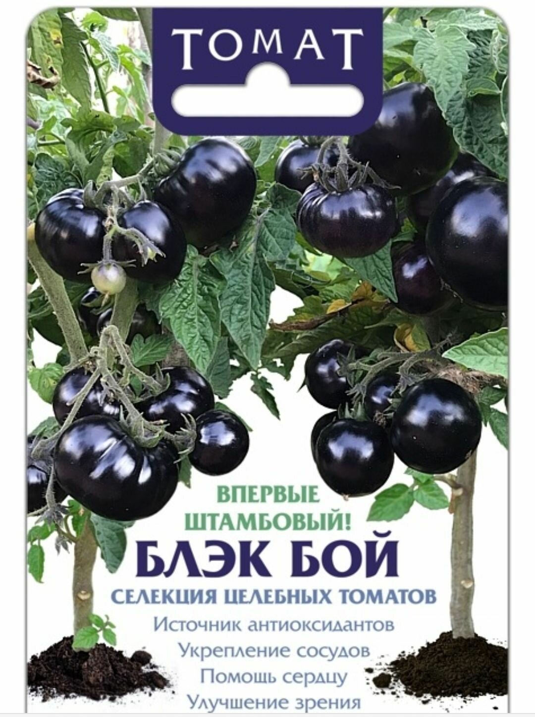 Томат блэк БОЙ (10семян)Уникальный томат с фиолетово-черными плодами, имеющий суперкомпактный штамбовый кустВнешне напоминает маленькое дерево-бонсай