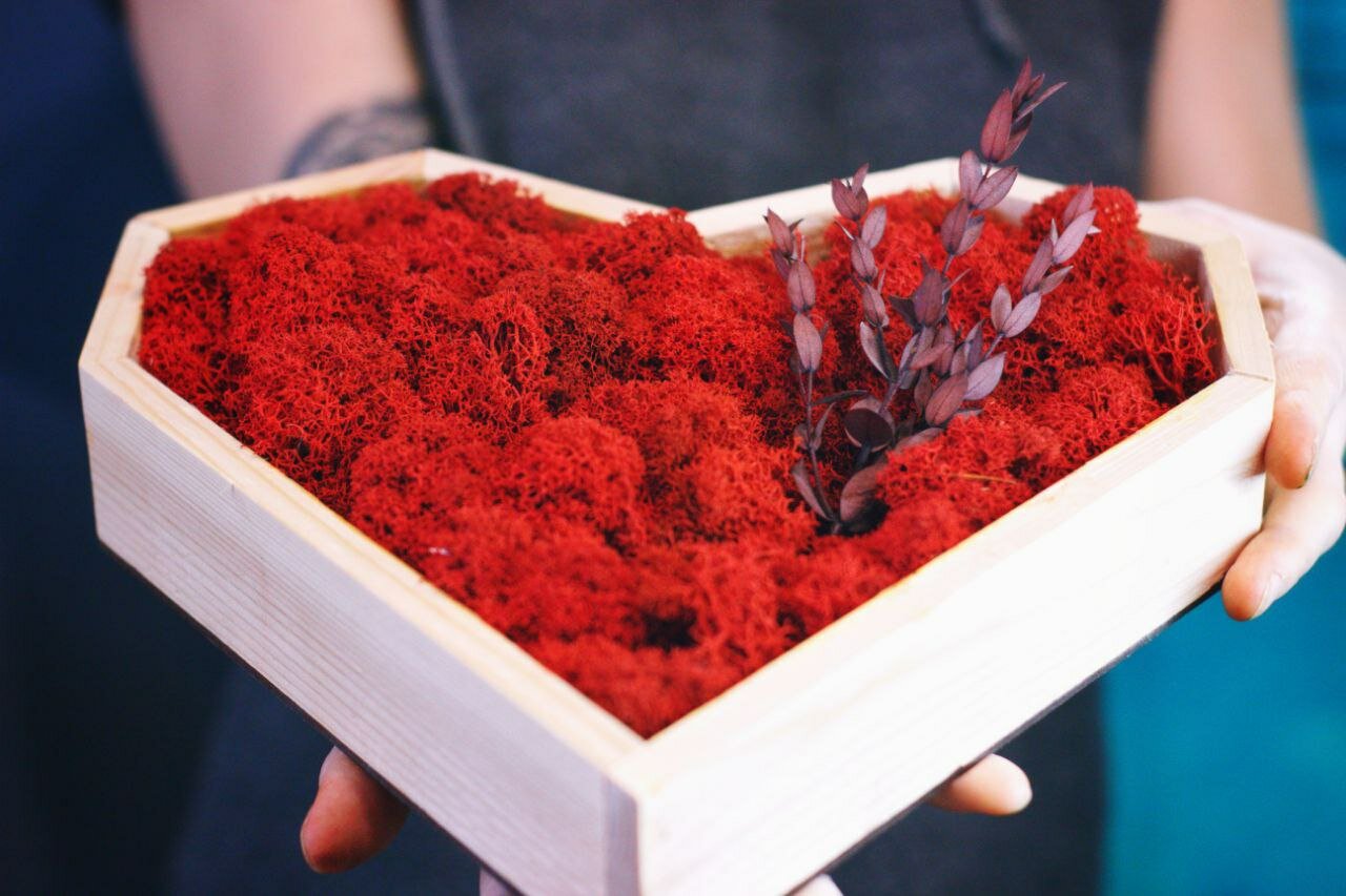 Сердце из красного мха и эвкалипта, подарок на 8 марта, для любимой, для неё, для мамы, для тещи, вместо цветов