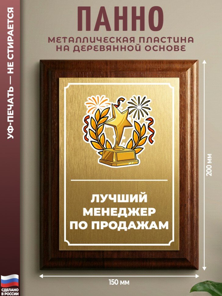 Настенный диплом "Лучший менеджер по продажам"