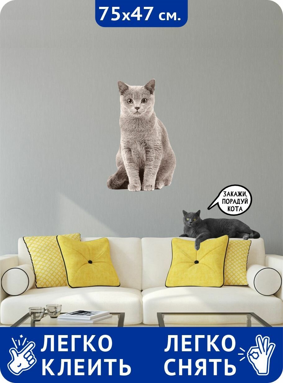 Наклейки на стену для декора - Милые животные, котик