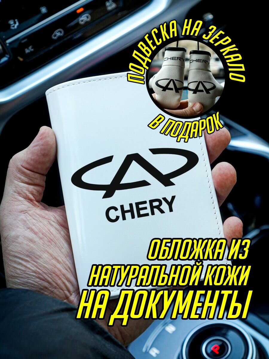 Обложка для автодокументов Artows