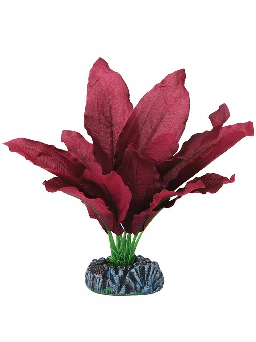 Растение шелковое Laguna "Криптокорина", 20см