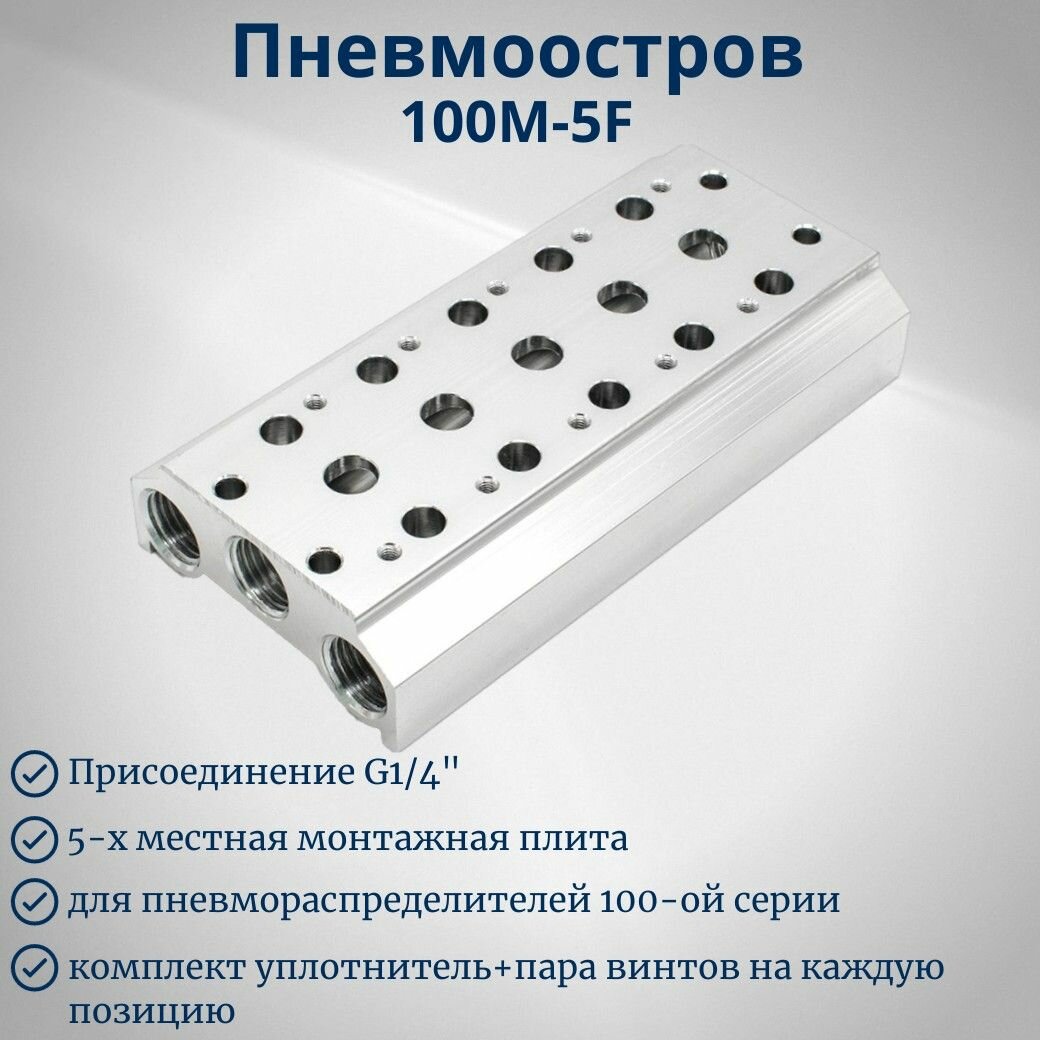 Плита монтажная 100M-5F