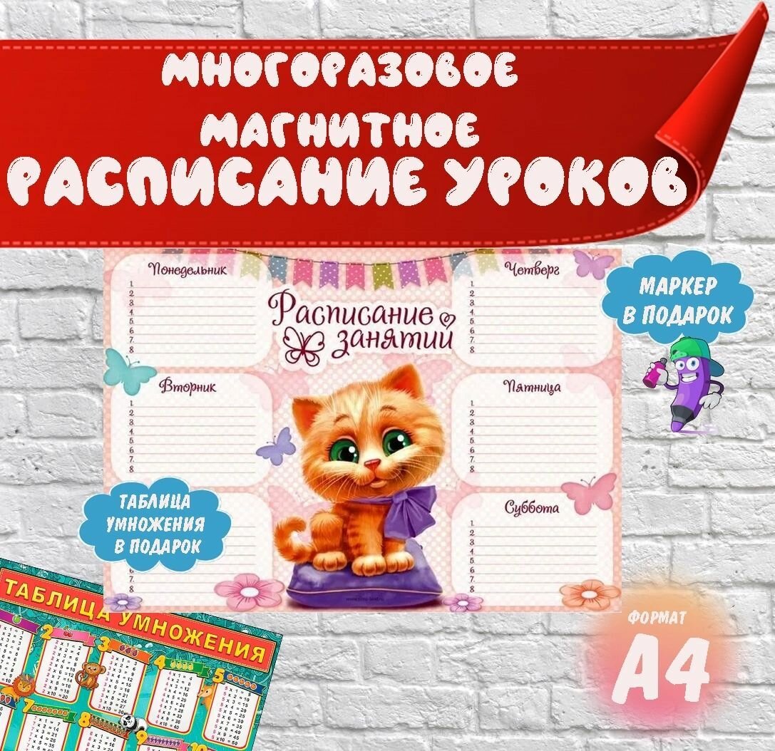 Расписание уроков магнитный с маркером для школьника, А4 "Рыжий кот"