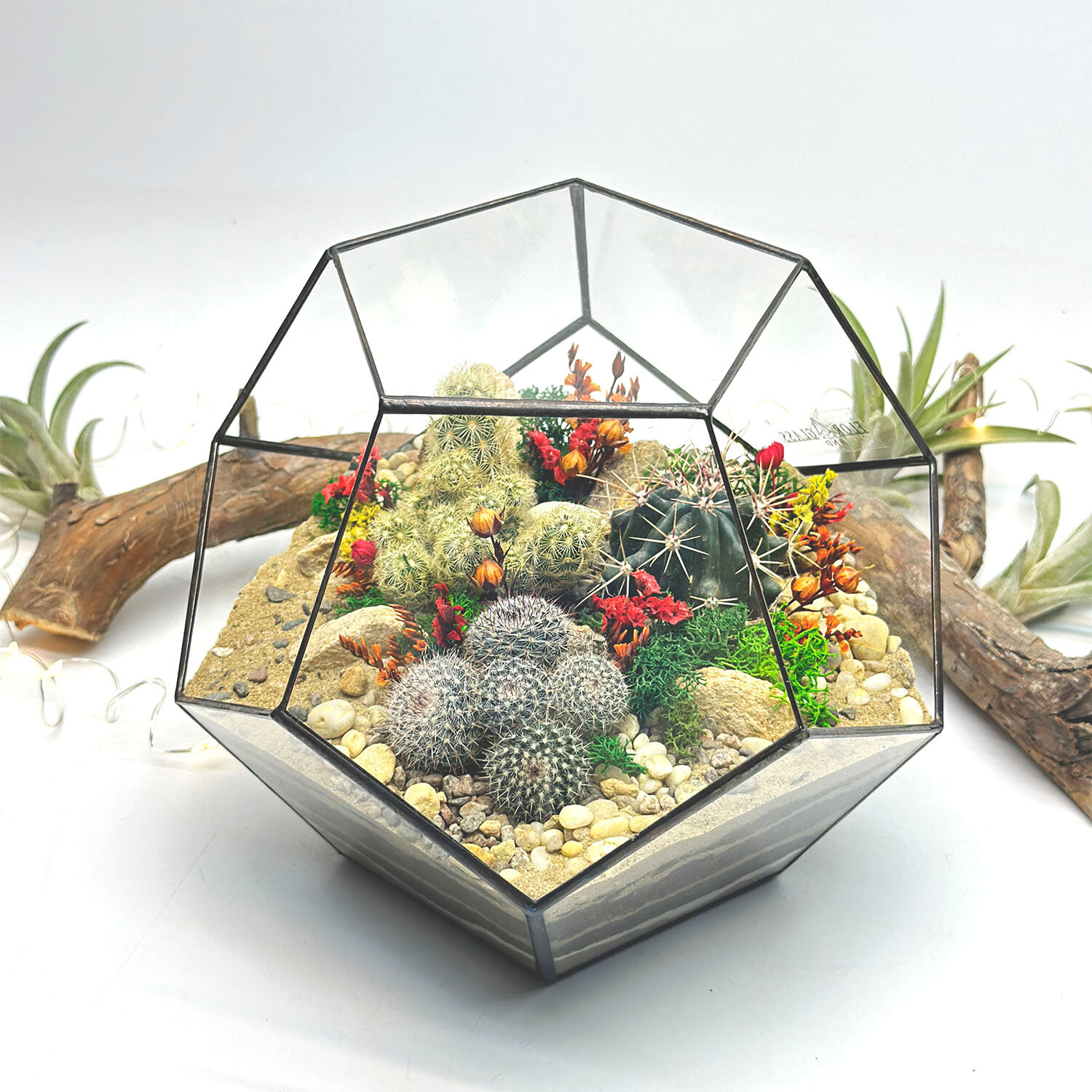 Флорариум с кактусами "Яркий" Додекаэдр 18см