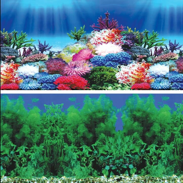 Laguna Фон двусторонний аквариумный "Водное шоу/Карнавал", 9031/9099, 30*60см