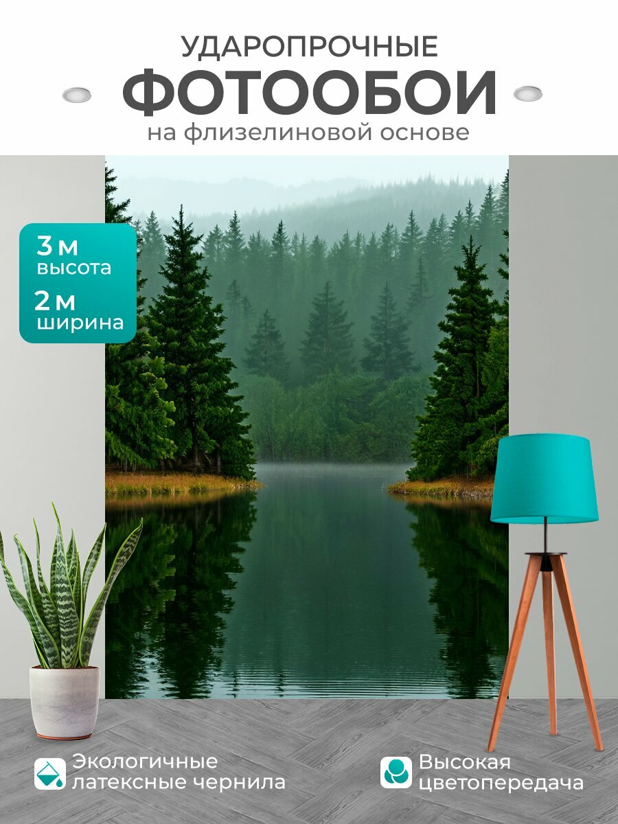 Фотообои моющиеся ударопрочные "Фотообои лес в стиле японская тушь, вечнозеленый лес с высокими елями и их отражениями в спокойной воде озера, создавая" 200x300 см. флизелиновые на стену