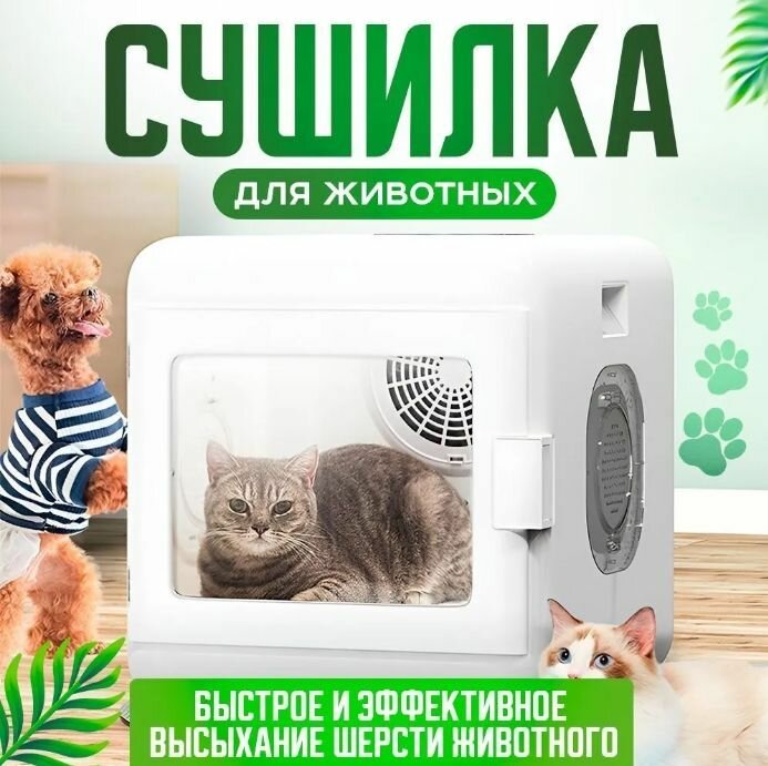 Автоматическая сушилка Freepose CW-026 для кошек и собак / сушка для шерсти животных / сушильная камера для груминга домашних питомцев