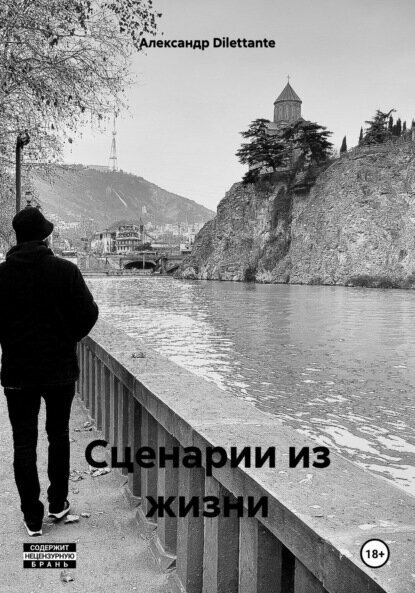 Сценарии из жизни [Цифровая книга]