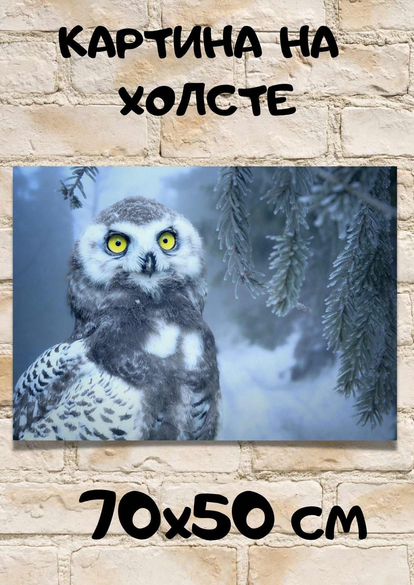 Картина с птицами "Сова в зимнем лесу" 70х50 см холст