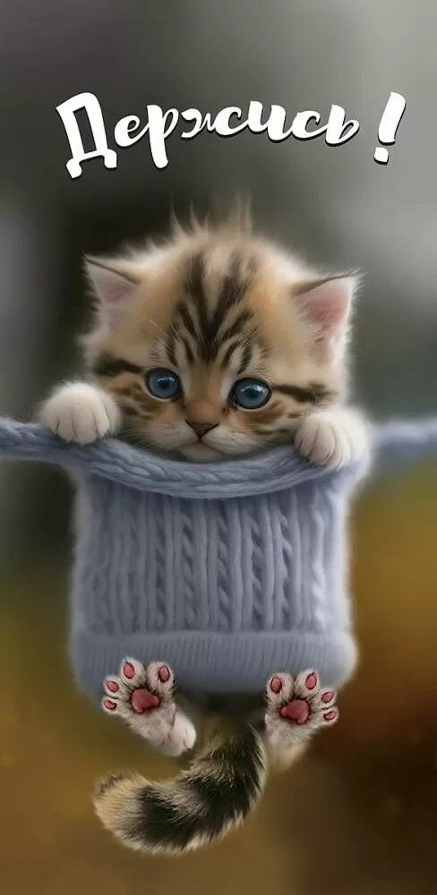 Конверты для денег Горчаков "Держись!", Котенок, картон, 10 шт