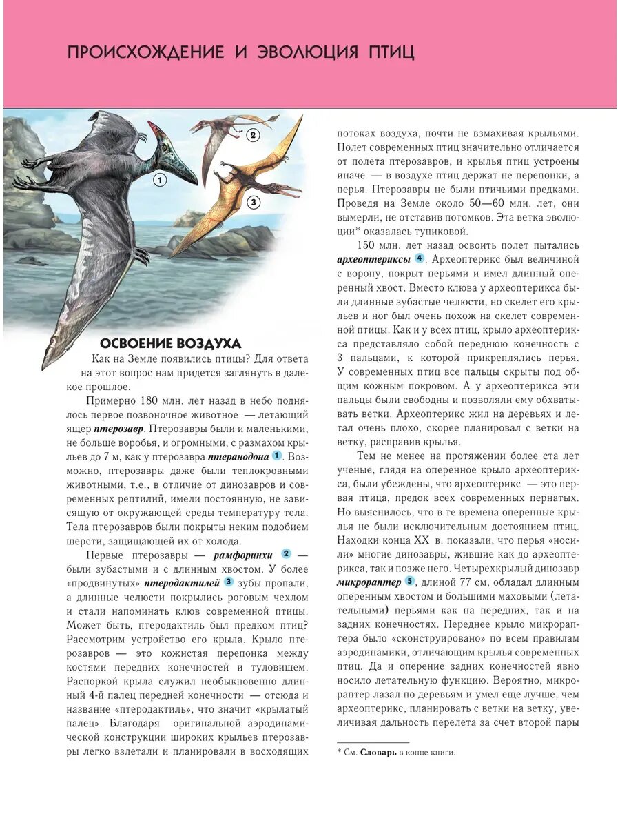 Юлия Школьник. Птицы. Полная энциклопедия — фото 1