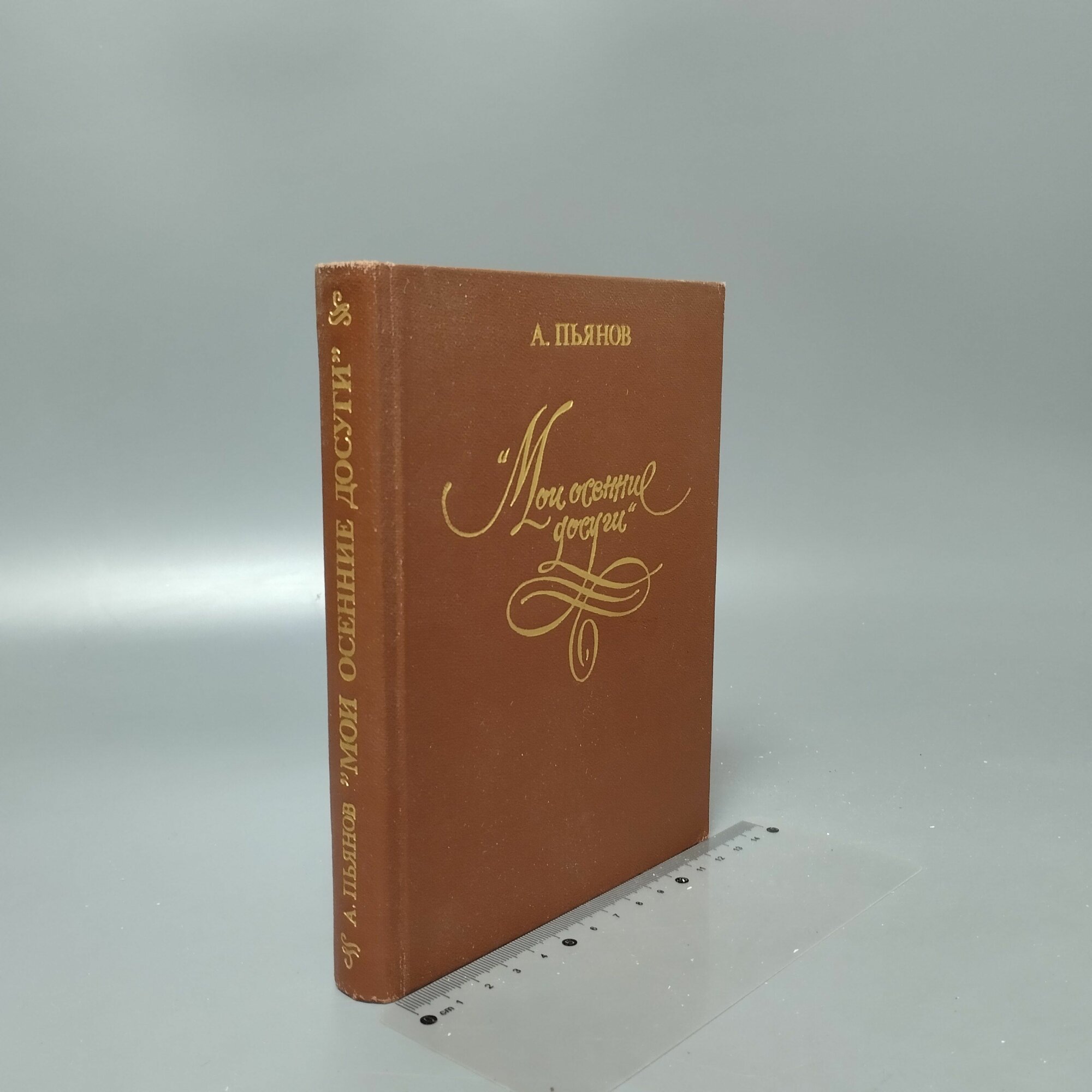 Мои осенние досуги. А. Пьянов. 1983