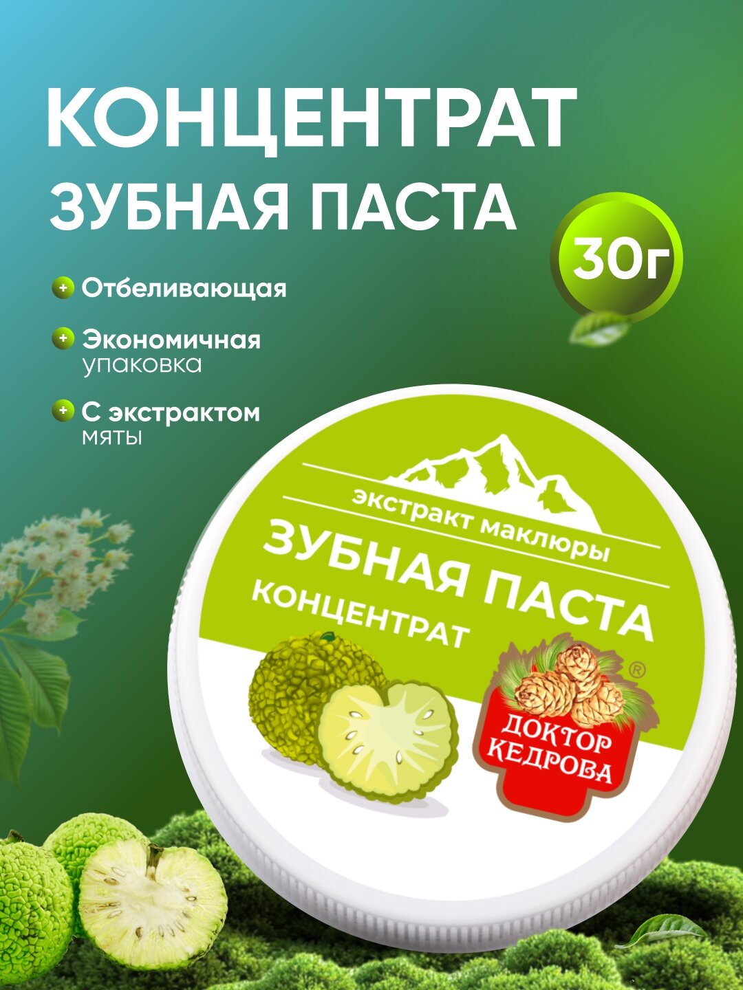 Зубная паста Доктор Кедрова "Маклюра", натуральный состав, безопасно при проглатывании, 35 г
