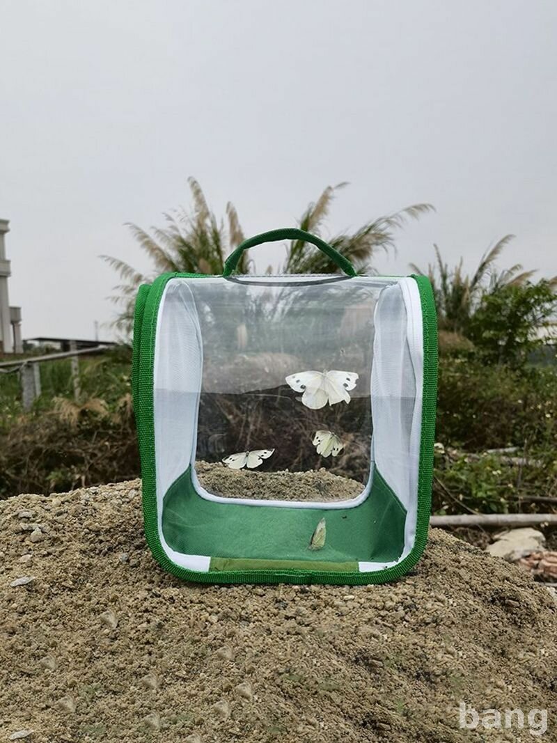 Эксклюзивная ферма бабочек