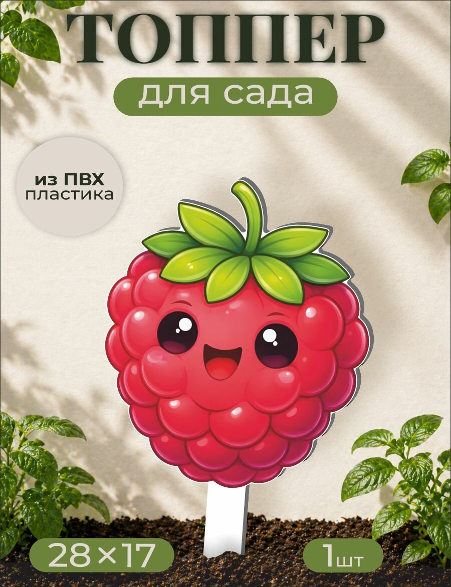 Фигурки для сада Малина - Fruits