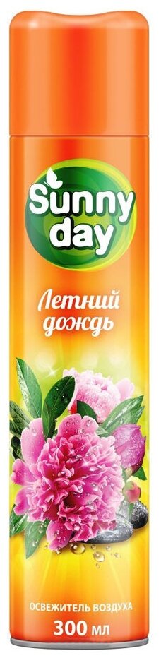 Освежитель воздуха SUNNY DAY 300см3 Летний дождь