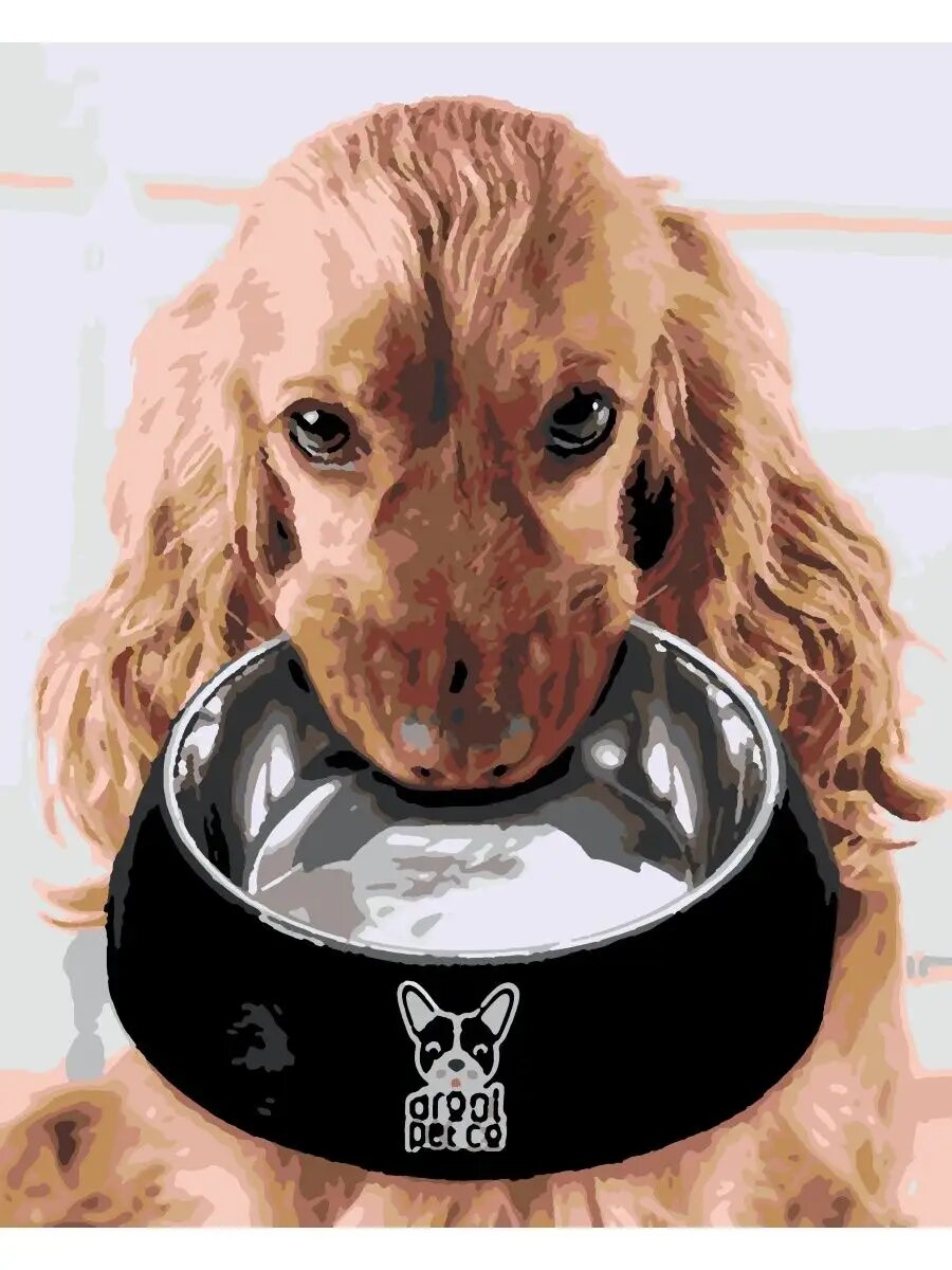 Картина по номерам Спаниель 40х50 см