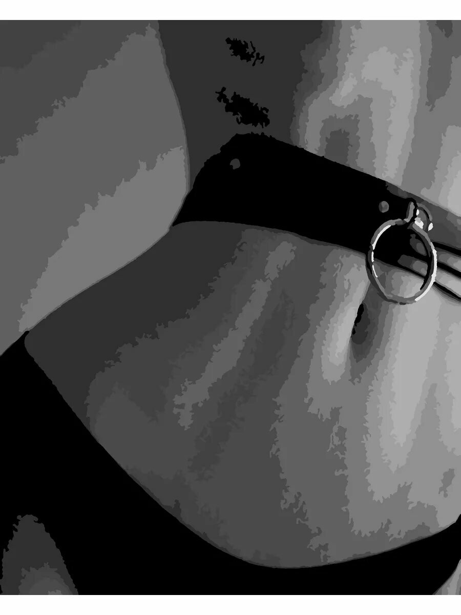 Картина по номерам Тут рисуют "Страсть", холст на подрамнике, акриловые краски, 40x50 см