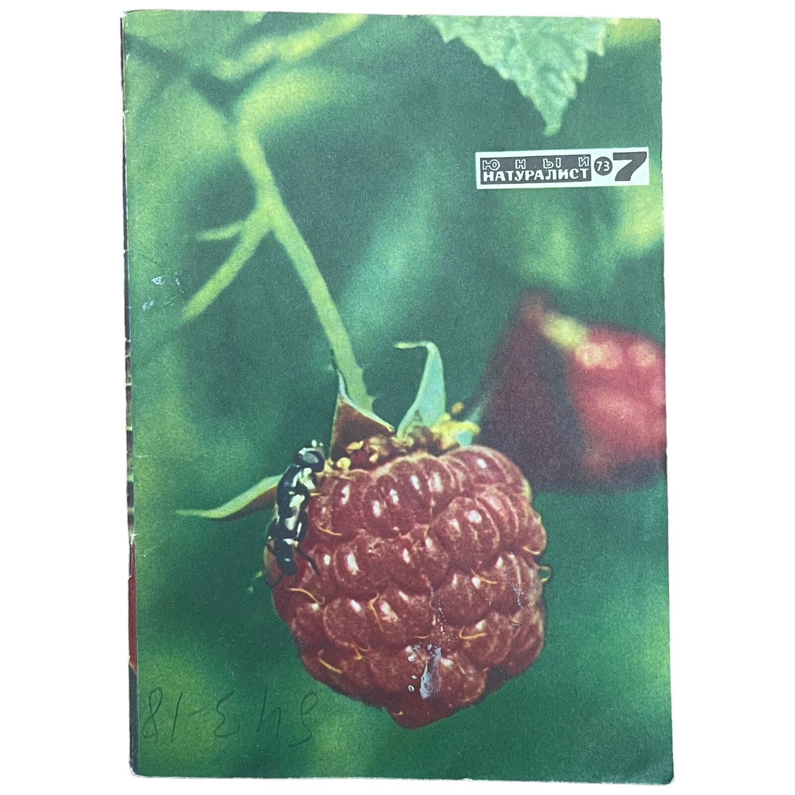 Журнал "Юный натуралист" №7, 1973 г. Изд. "Молодая гвардия", СССР