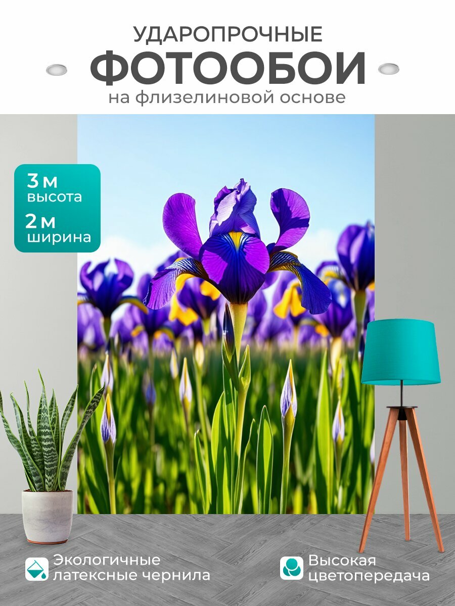 Фотообои моющиеся ударопрочные "Поле ирисов под ярким солнечным небом" 200x300 см. флизелиновые на стену