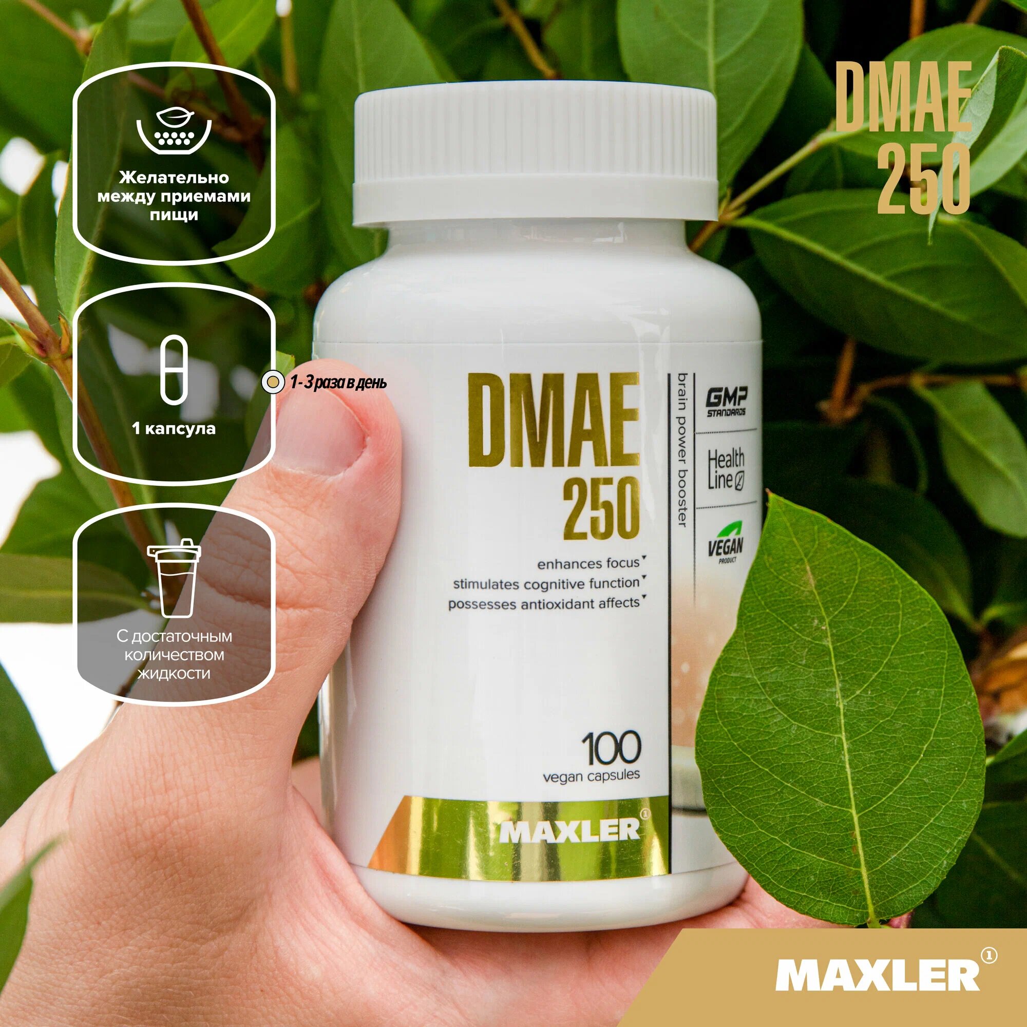 D-Диметиламиноэтанол Maxler DMAE для поддержания здоровья нервной системы 100 tabs — фото 1