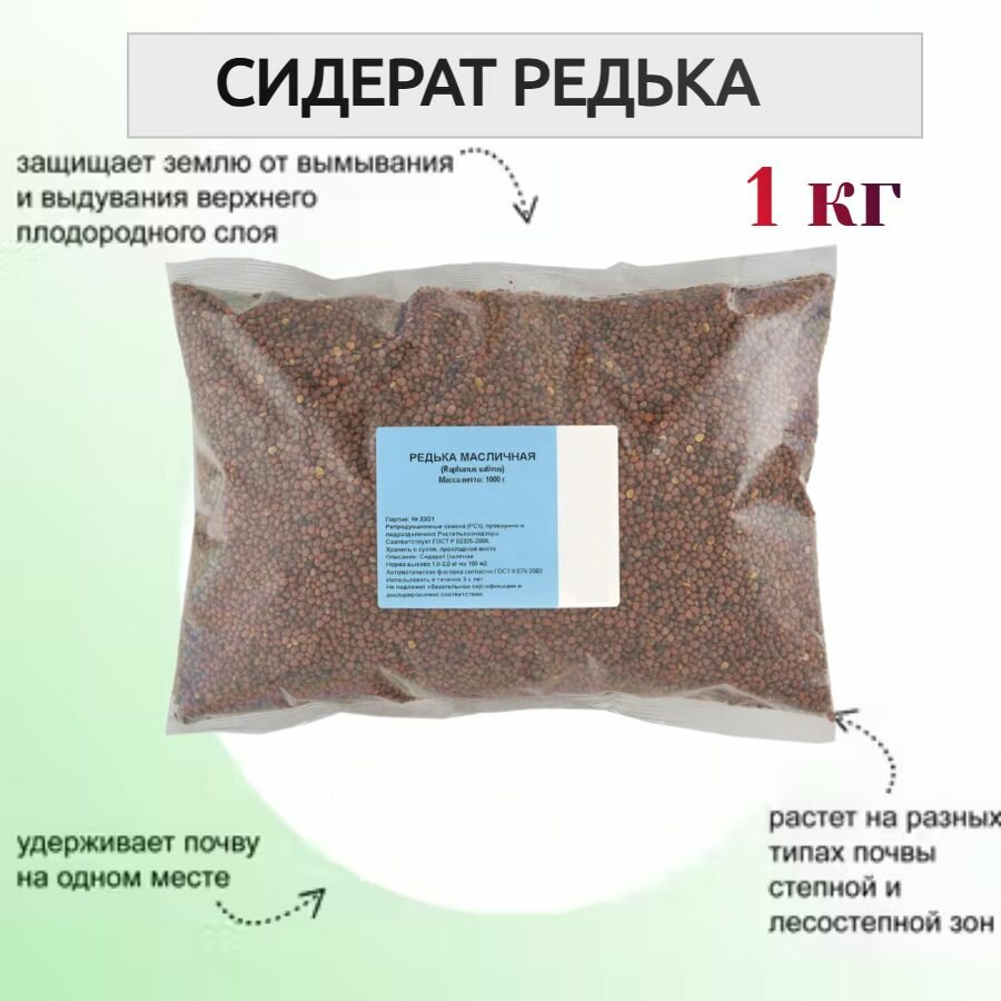 Семена сидератов "Редька масличная", 1 кг - для улучшения структуры почвы, повышения ее плодородия и подавления роста сорняков. Улучшает влагоемкость и аэрацию