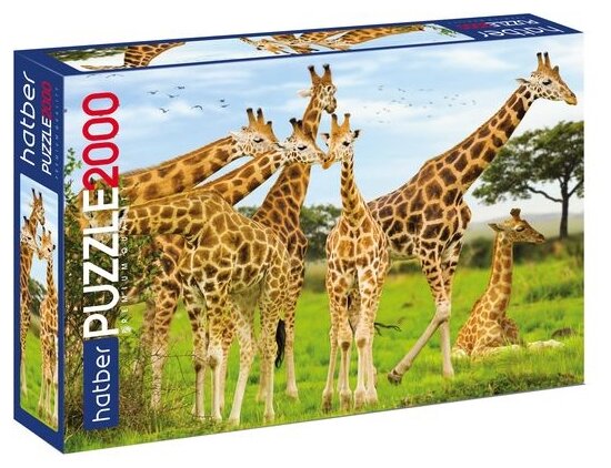 Пазлы 2000 дет. Жирафы (Premium) 2000ПЗ1_19321, (Хатбер-М) ()