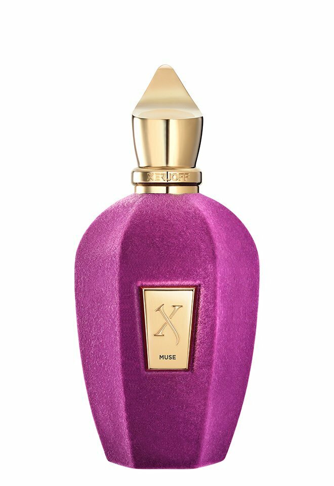 Xerjoff V Muse 50 ml - парфюмерная вода