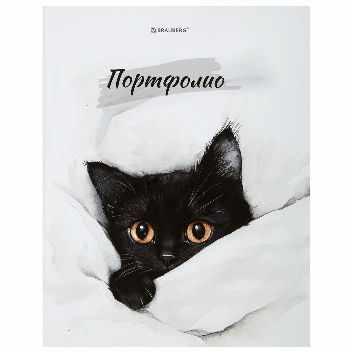 Папка-портфолио универсальная Brauberg "Cat", 107557, 20 файлов, 4 кольца, матовая 7Бц (117557)