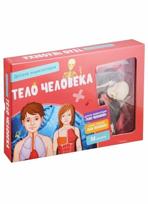 Тело человека Энциклопедия 12+