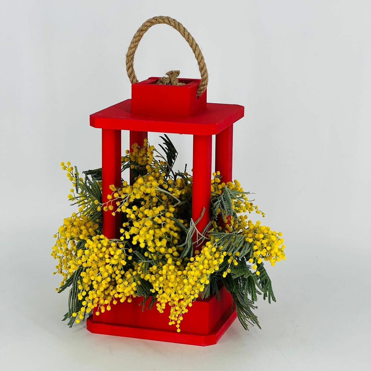 Мимоза в декоративном красном фонаре ручной работы