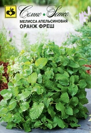 Семена мелиссы апельсиновой "Оранж Фреш", в упаковке 15 шт - стебли прямостоячие, высотой 50-80 см.