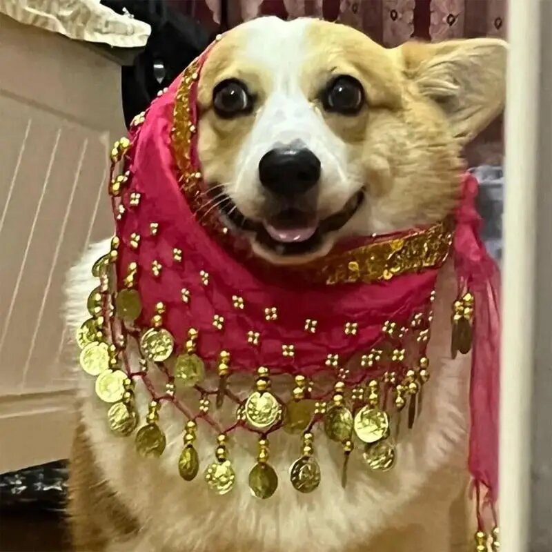 Танцевальная юбка для собак розовый-красный Puppy Shaking Hip Dance