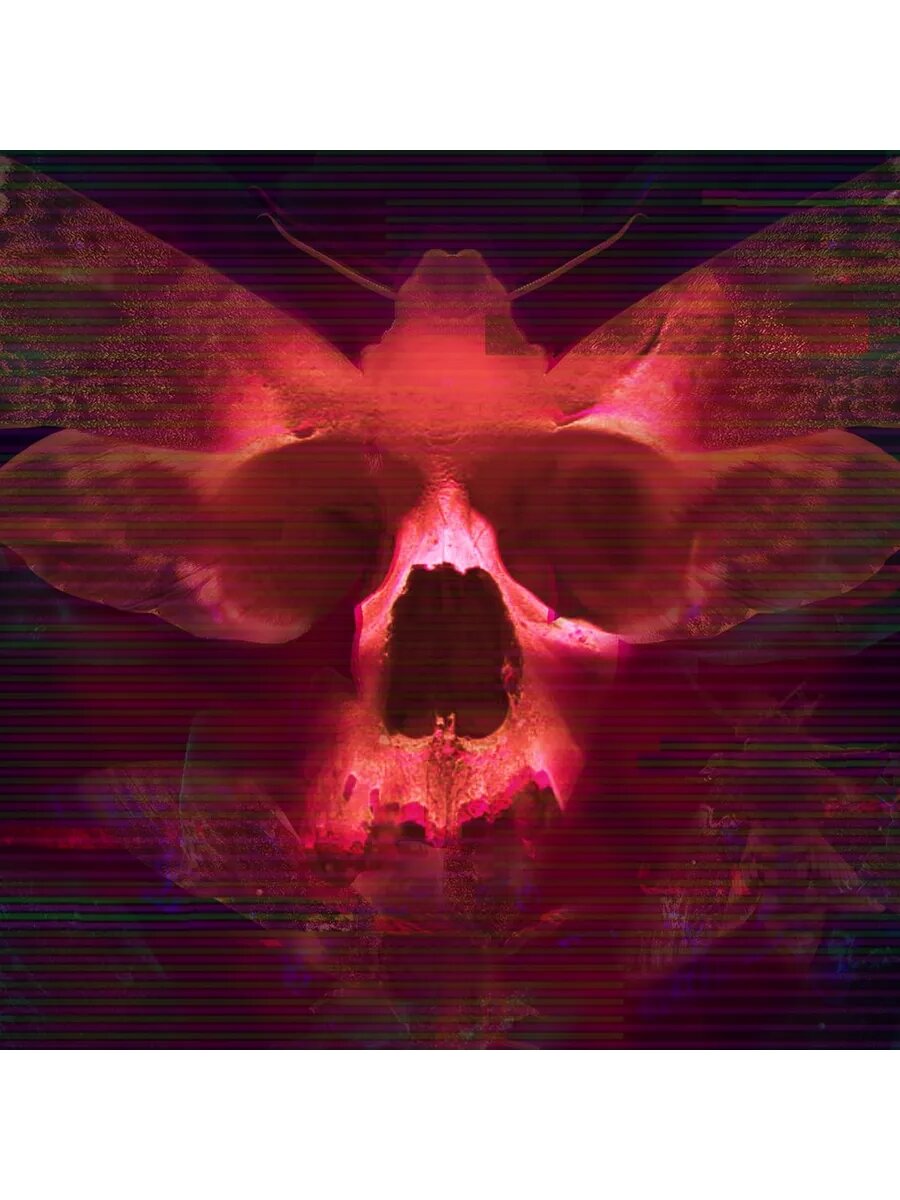 Transient: Extended Edition PS4 & PS5
